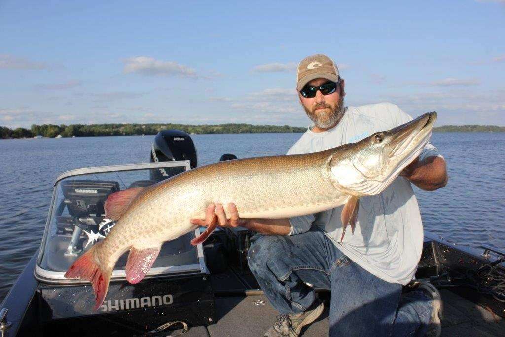 Muskie Fishing Guides on Lake Minnetonka | Schroeder's Guiding Service