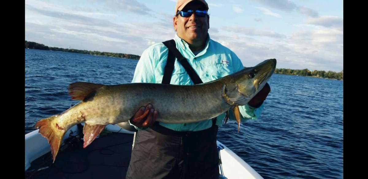 Muskie Fishing Photos | Trophy Musky Photo Gallery from Minnesota